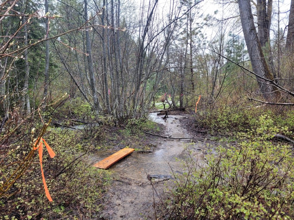 2022 Ultimate Orienteer #4 - Score-O, Dickey Creek - Cascade ...
