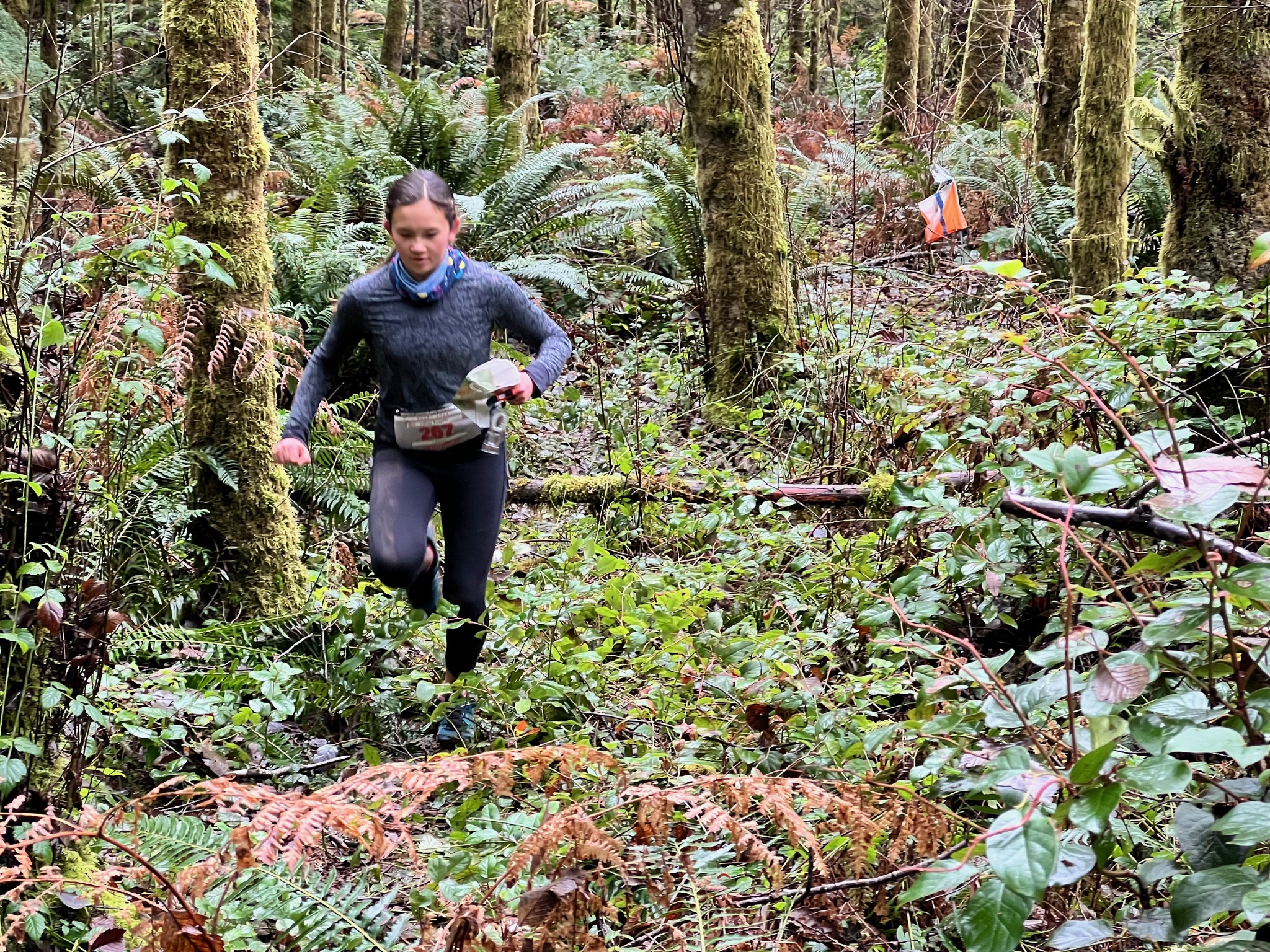 Up Next: The Ultimate Score-O at Summit Trails - Cascade Orienteering ...